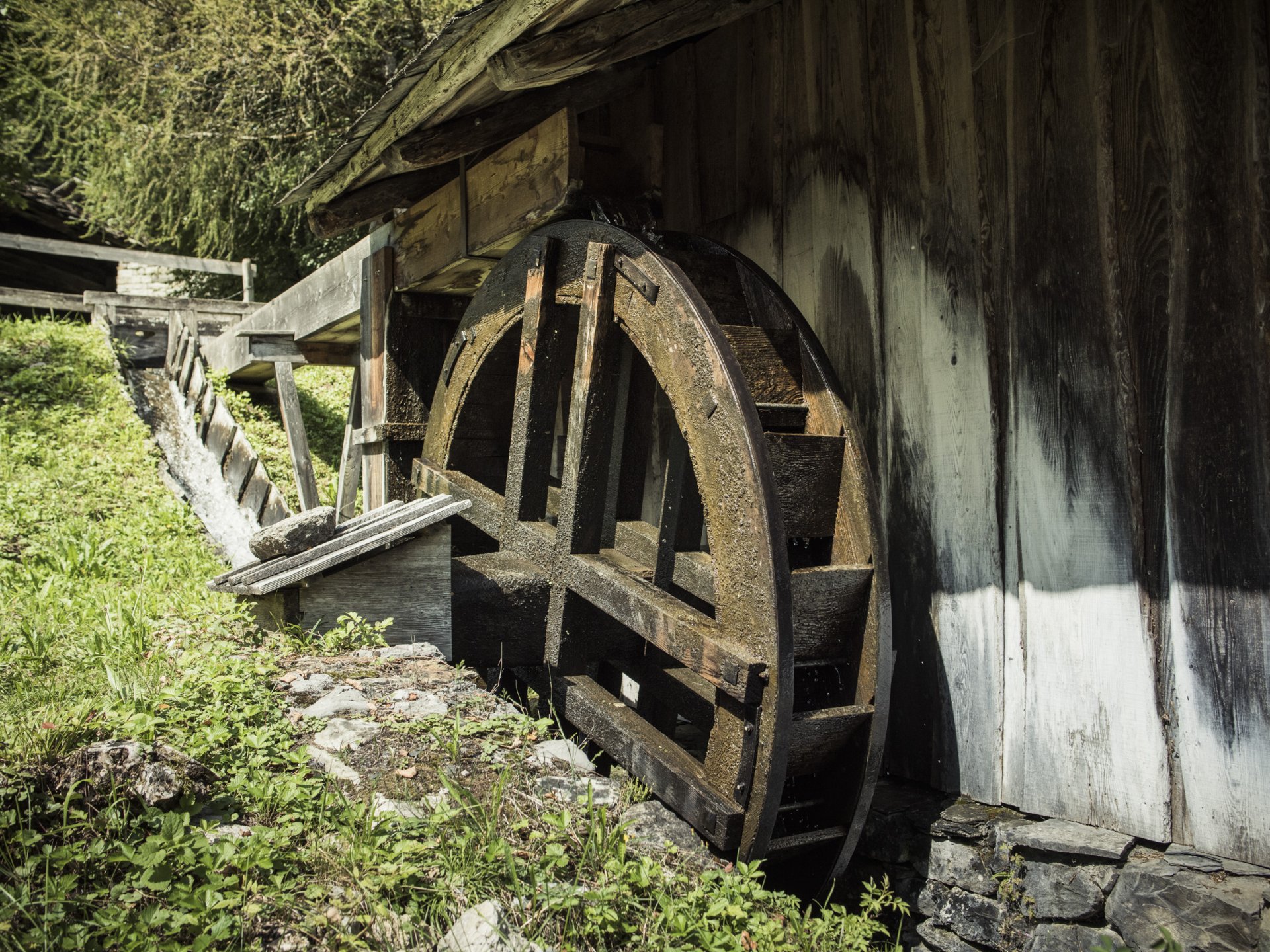Schweizer Mühlentag 2024 – «Der Duft des Holzes» - Mühlenfreunde